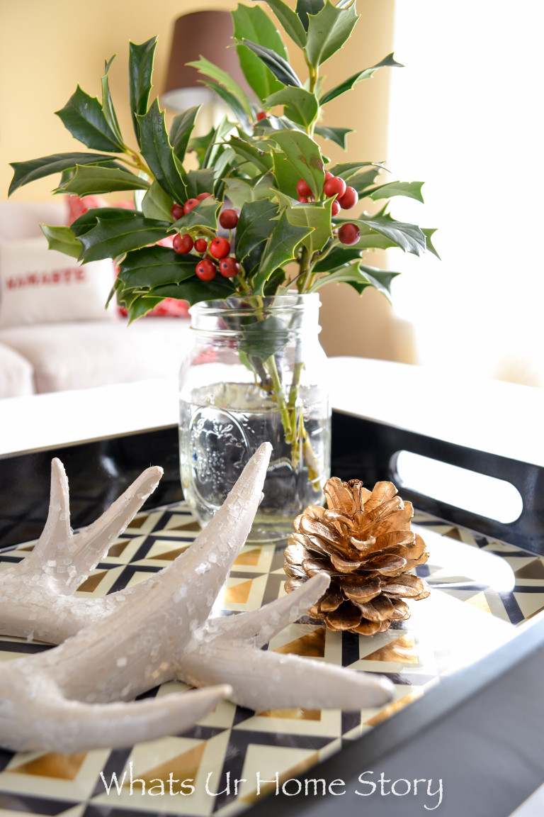 The Easiest DIY Serving Tray Makeover Ever! | Whats Ur Home Story