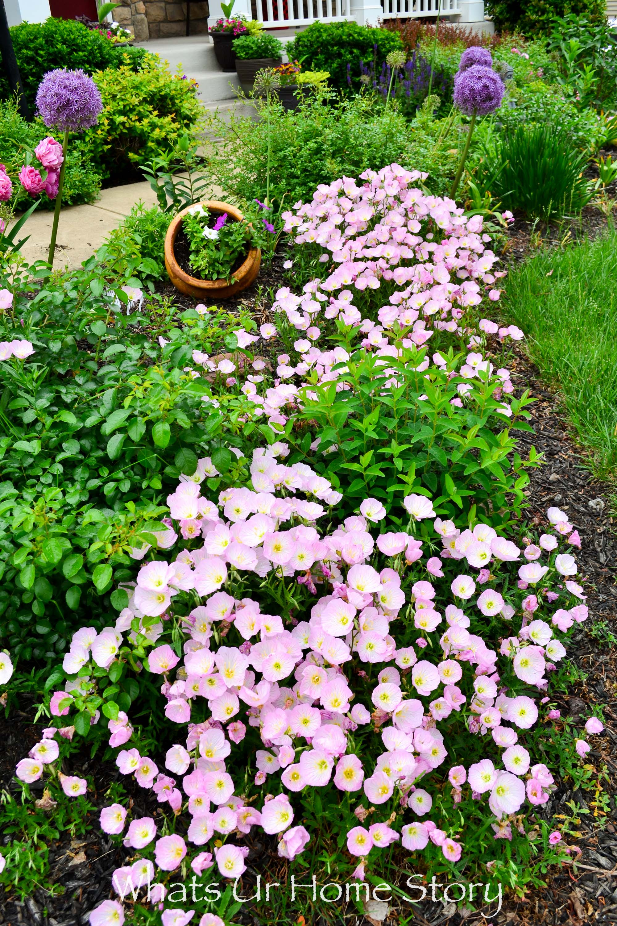 Spring Garden 2018 - A Perennial Haven | Whats Ur Home Story