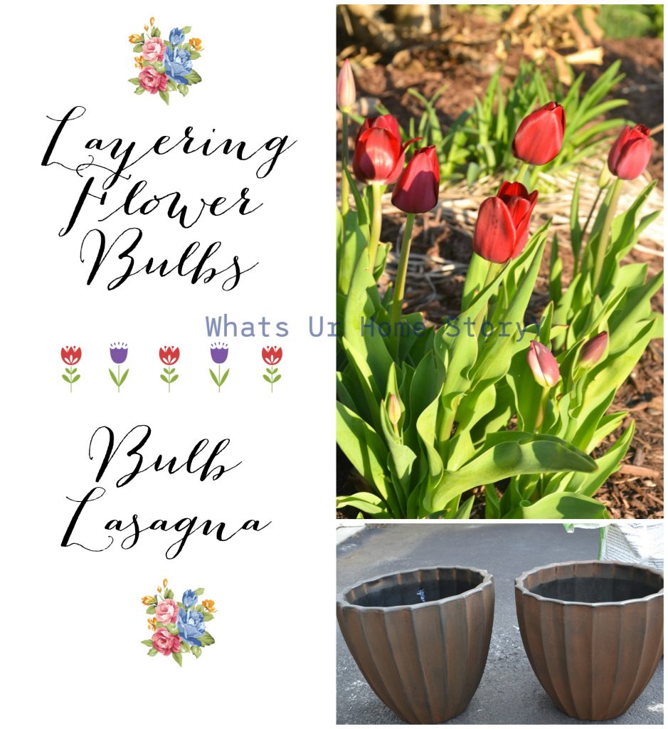 Bulb Lasagna or Layering Flower Bulbs | Whats Ur Home Story