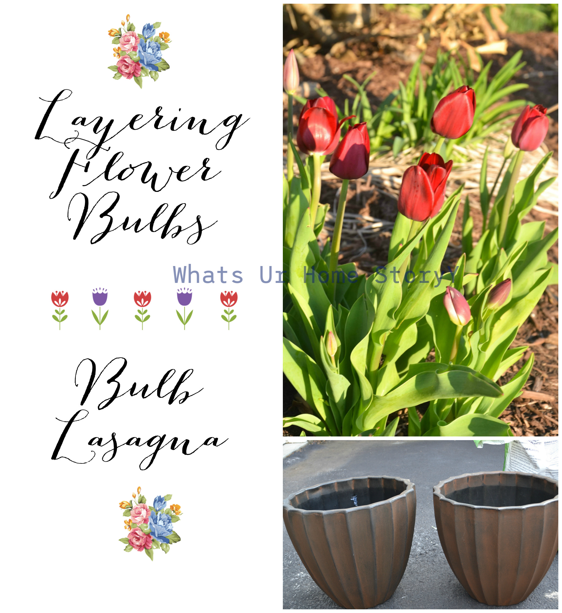 Bulb Lasagna or Layering Flower Bulbs | Whats Ur Home Story