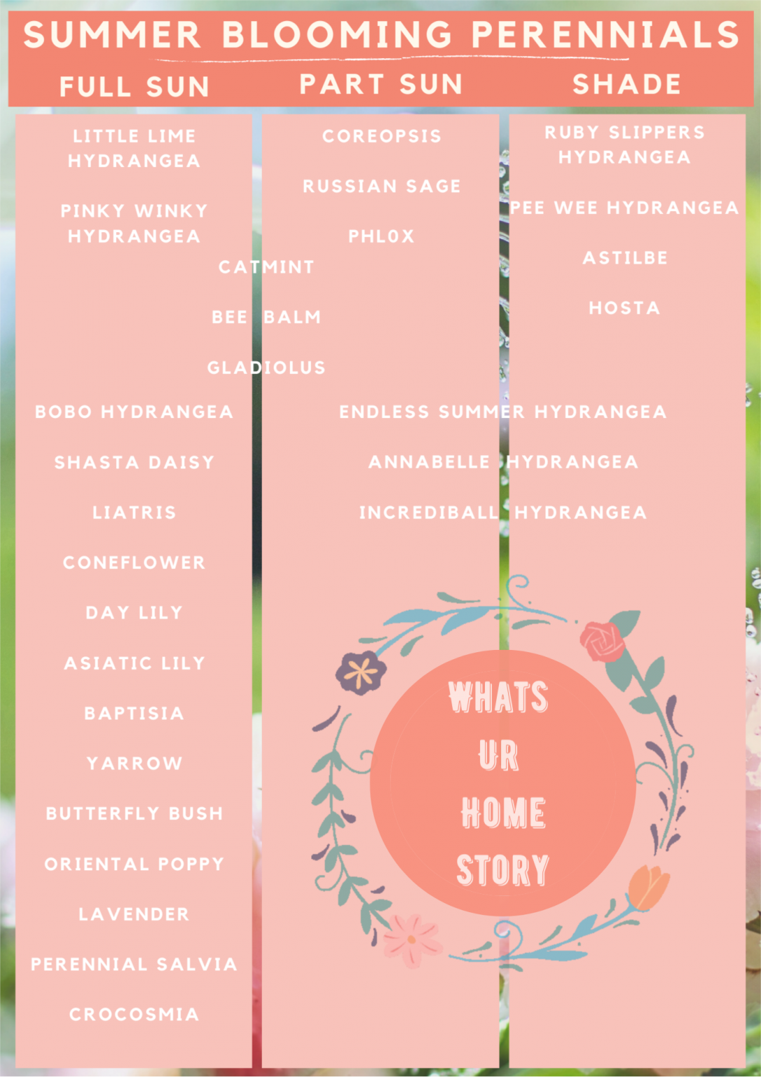 how-to-start-a-flower-garden-for-beginners-whats-ur-home-story