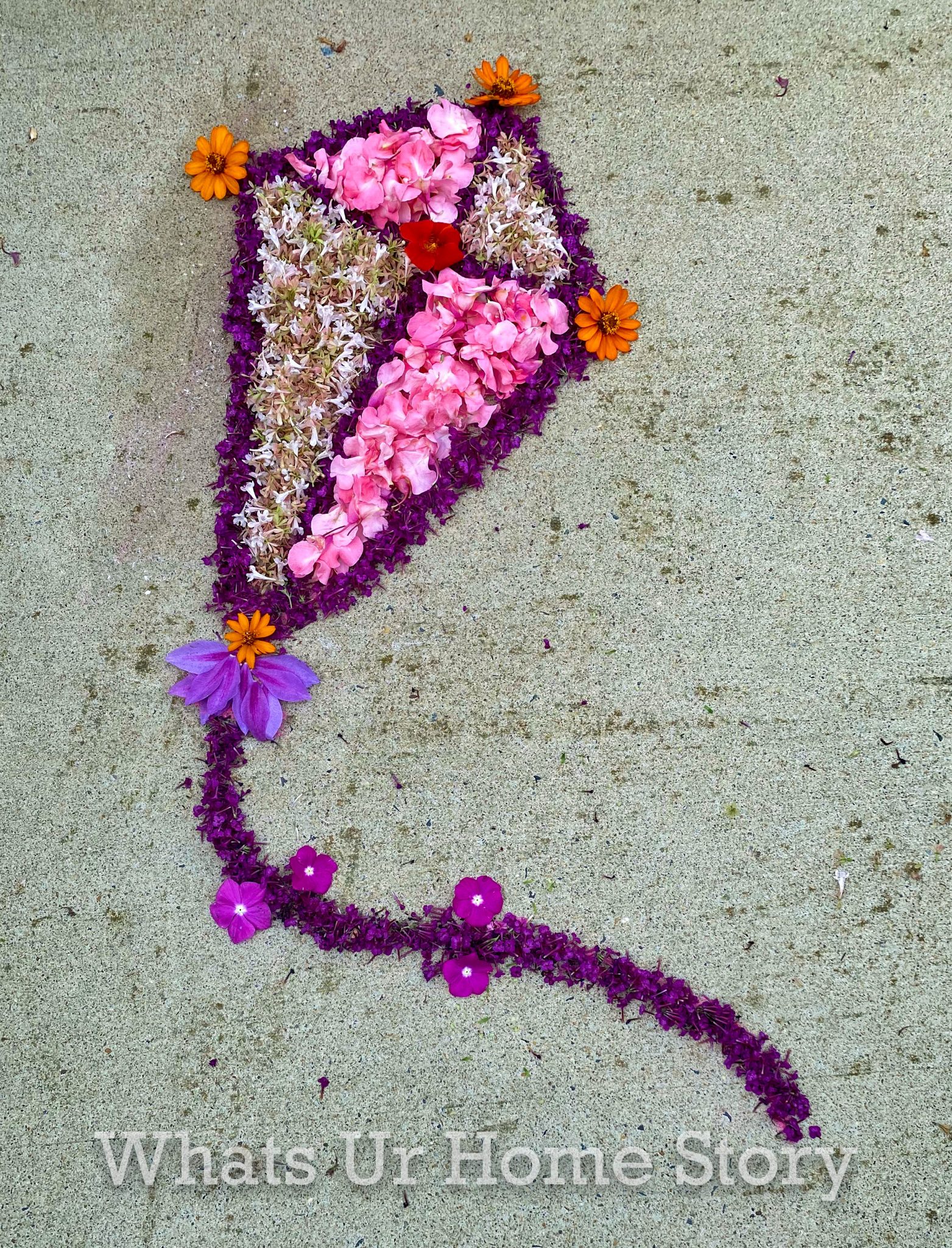 Onam 2020 Recap | Whats Ur Home Story