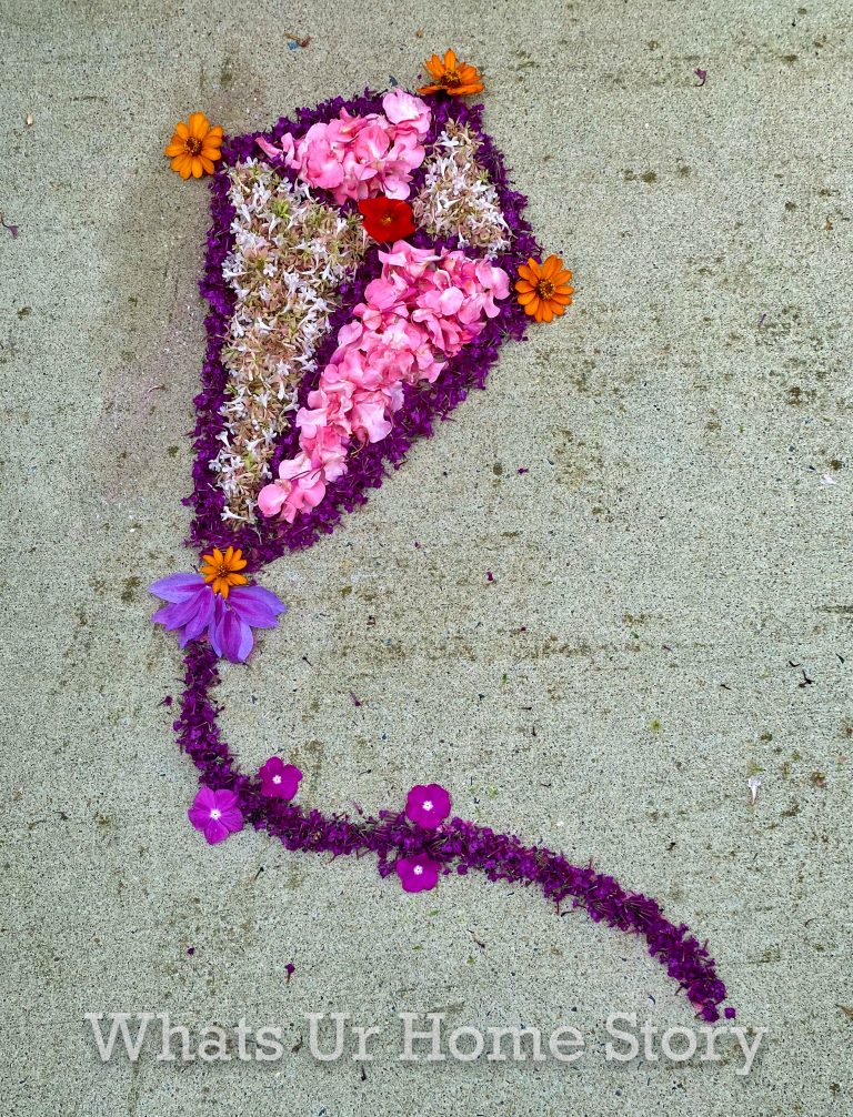 Onam 2020 Recap | Whats Ur Home Story