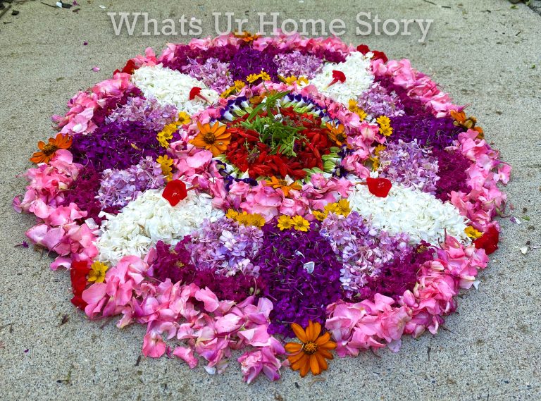 Onam 2020 Recap | Whats Ur Home Story