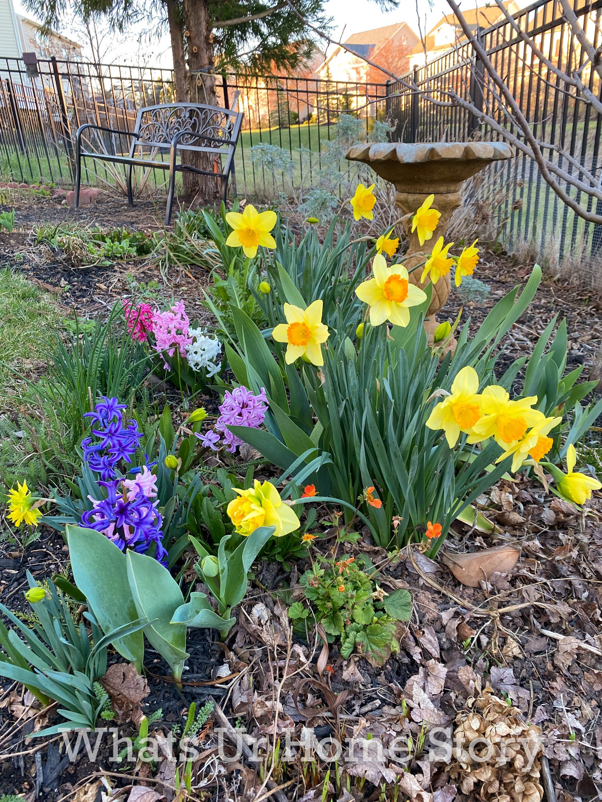 Early Spring Garden 2021 | Whats Ur Home Story